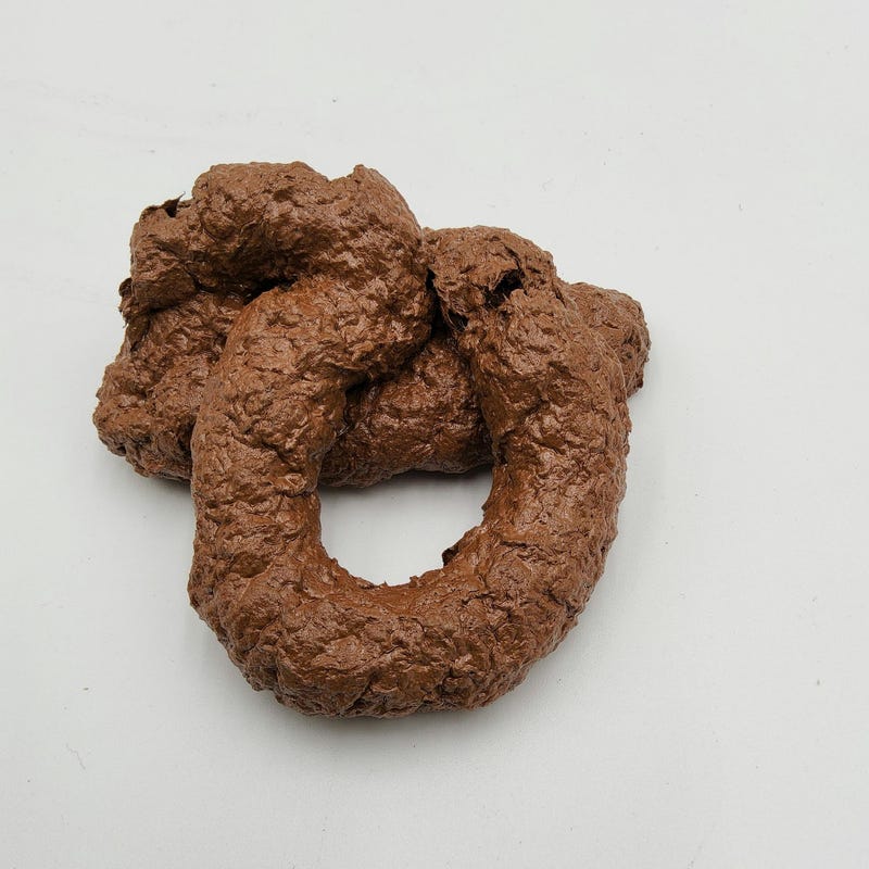 Fake Realistic Poop - Etsy