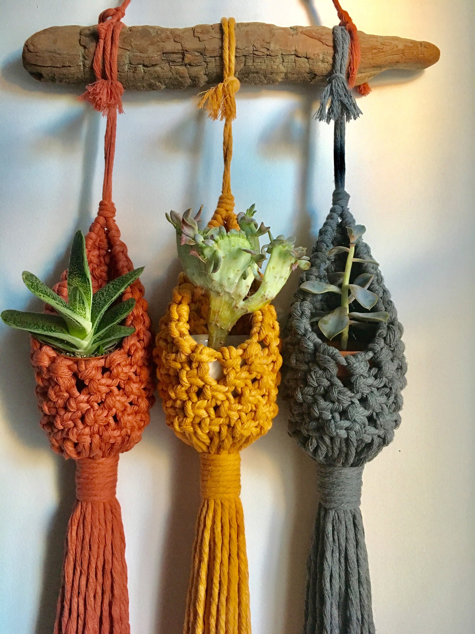 MACRAME POD PLANTER: the Pod Trio or Single Pod on Driftwood or ...