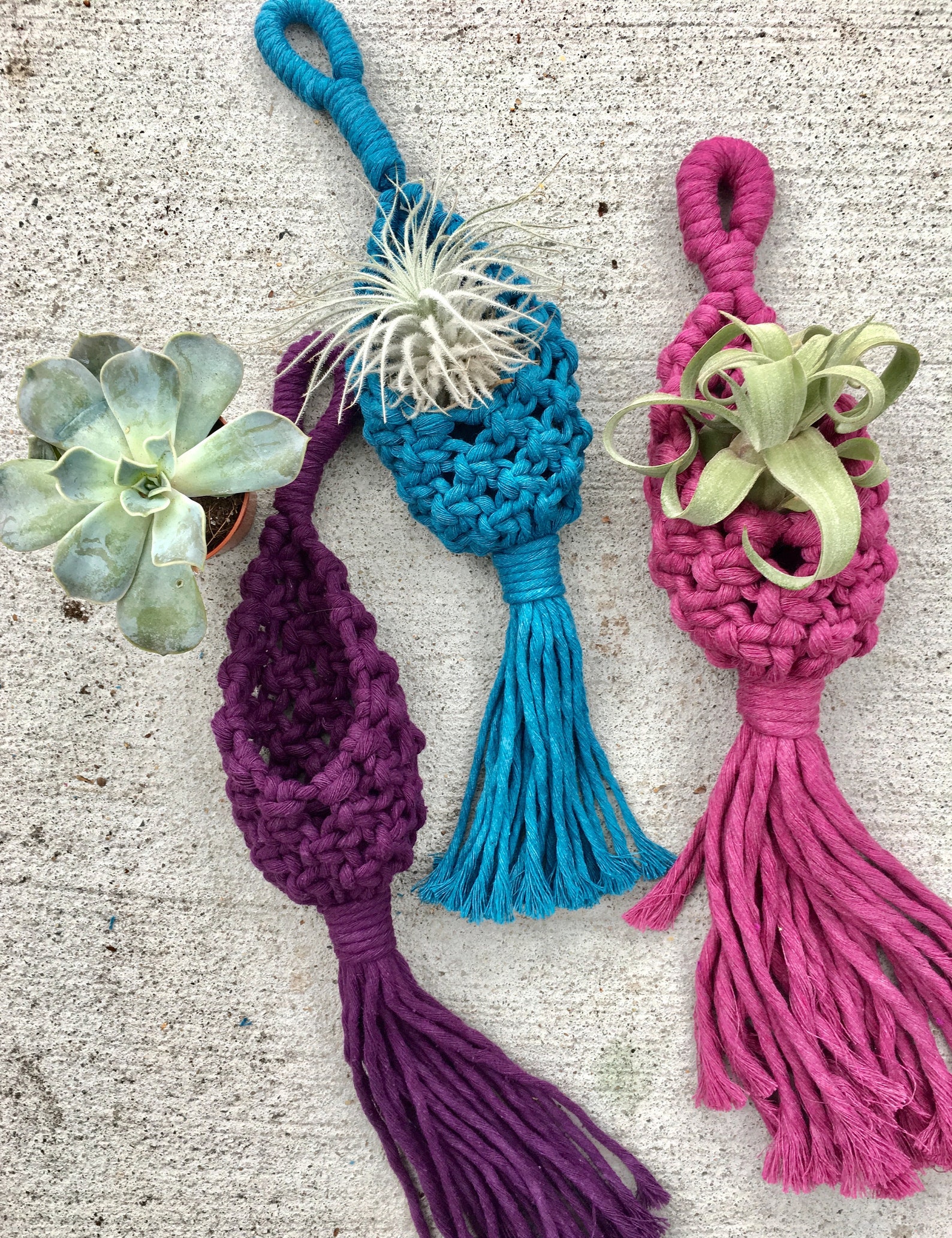 MACRAME PLANT PODS: Bright Colors Various Sizes - Etsy