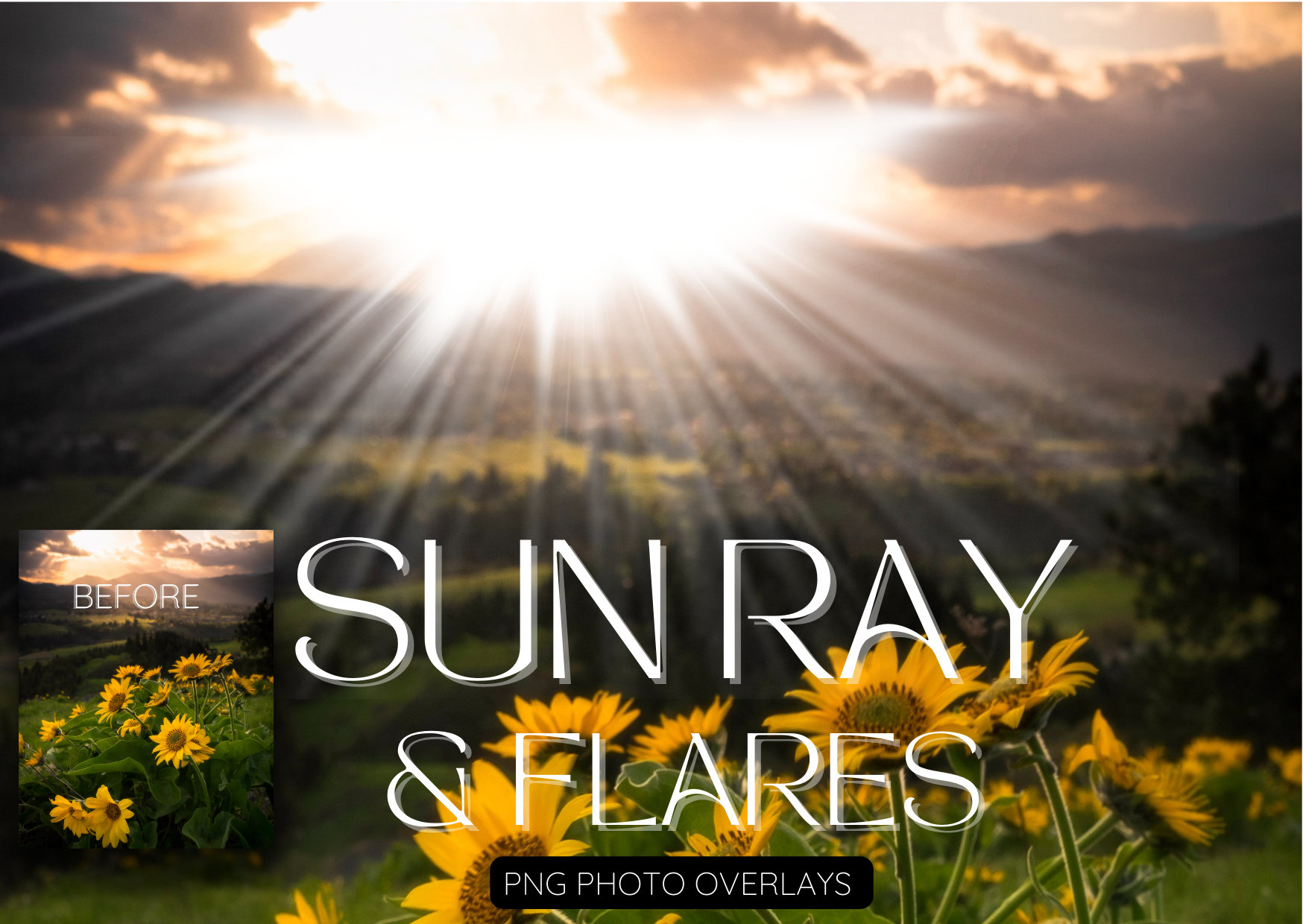 SUN, Rays & Flares Photoshop Photo Overlays. High Quality, PNG Digital ...