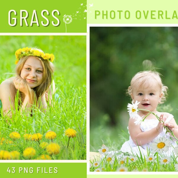 Grass Photography - Etsy