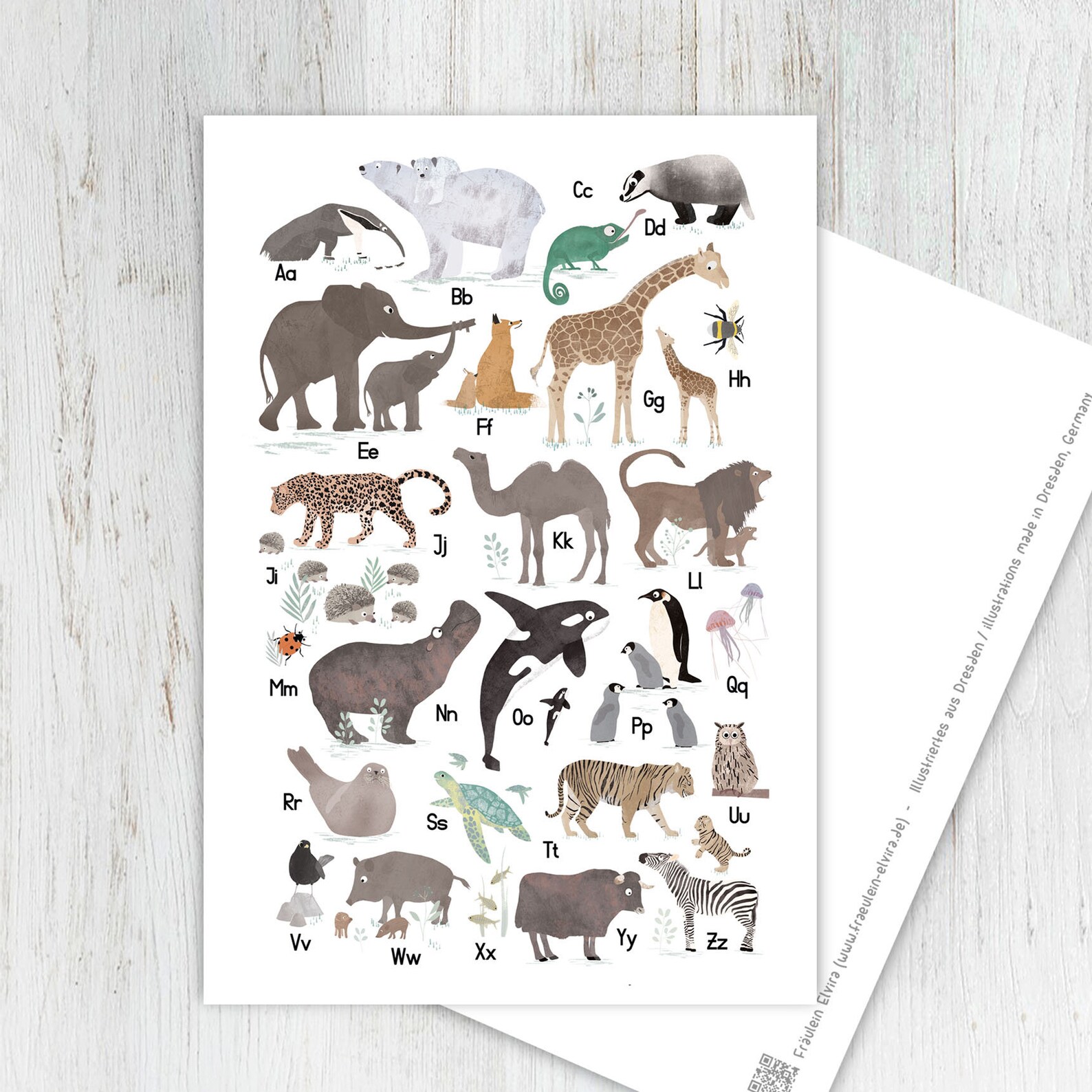 ABC Card, Animal Alphabet, Back to School Card, Postcard, Illustration ...