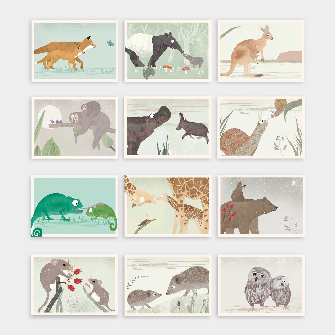 5 Postcards of Your Choice, Animal Card Set, Postcard Set ...