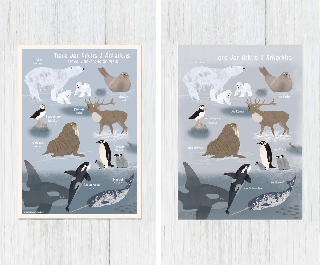 Animals of the Arctic & Antarctica, Poster A3 and A2, With Poster Bar ...