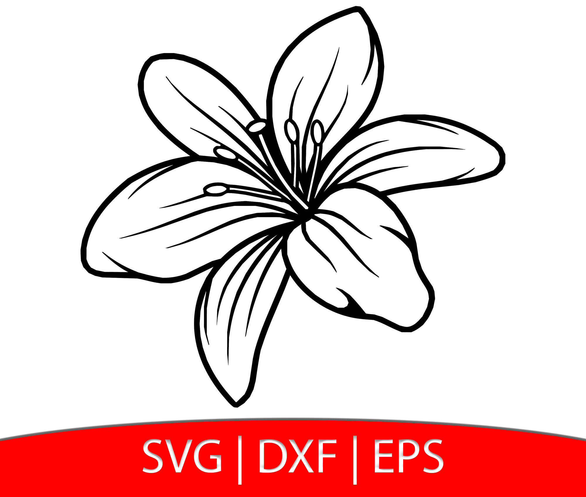 Lily Flower SVG Lily Flower dxf Lily SVG Flower eps Lily | Etsy