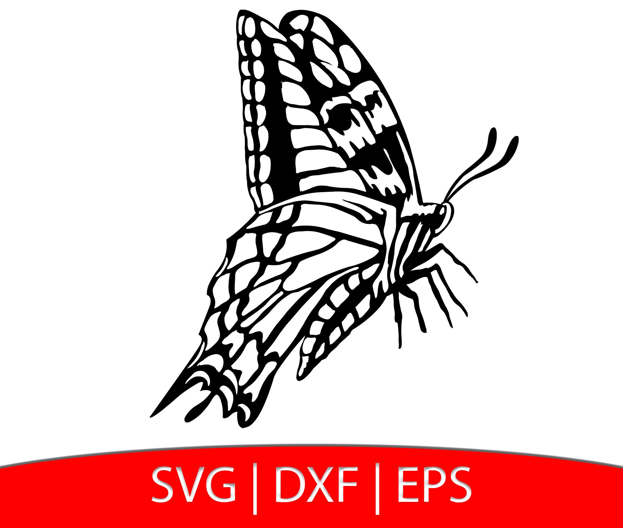 Butterfly svg archivo dxf mariposa monarca archivo vectorial | Etsy