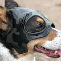 Toony Border Collie Mask .stl Files for 3D Printing - Etsy