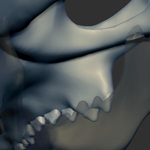 Elias Ainsworth the Ancient Magus Bride With Realistic Teeth 3D Print ...