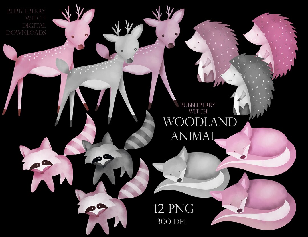 Pink Woodland Animal Clipart Set Baby Girl Animal Png Cute - Etsy
