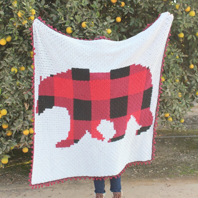 Crochet Bear Blanket C2C Blanket Pattern C2C Graphgan | Etsy