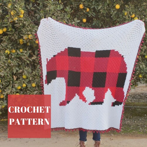 Crochet Bear Blanket C2C Blanket Pattern C2C Graphgan - Etsy