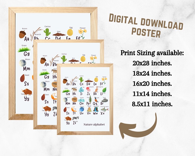 Alphabet Poster for School,homeschool. Educational Wall Poster ABC ...