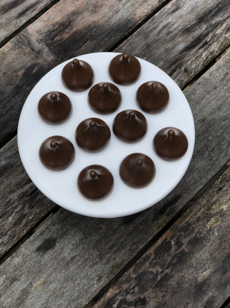 Set of 6 Faux Chocolate Chips Fake Bake Sweets Fake - Etsy