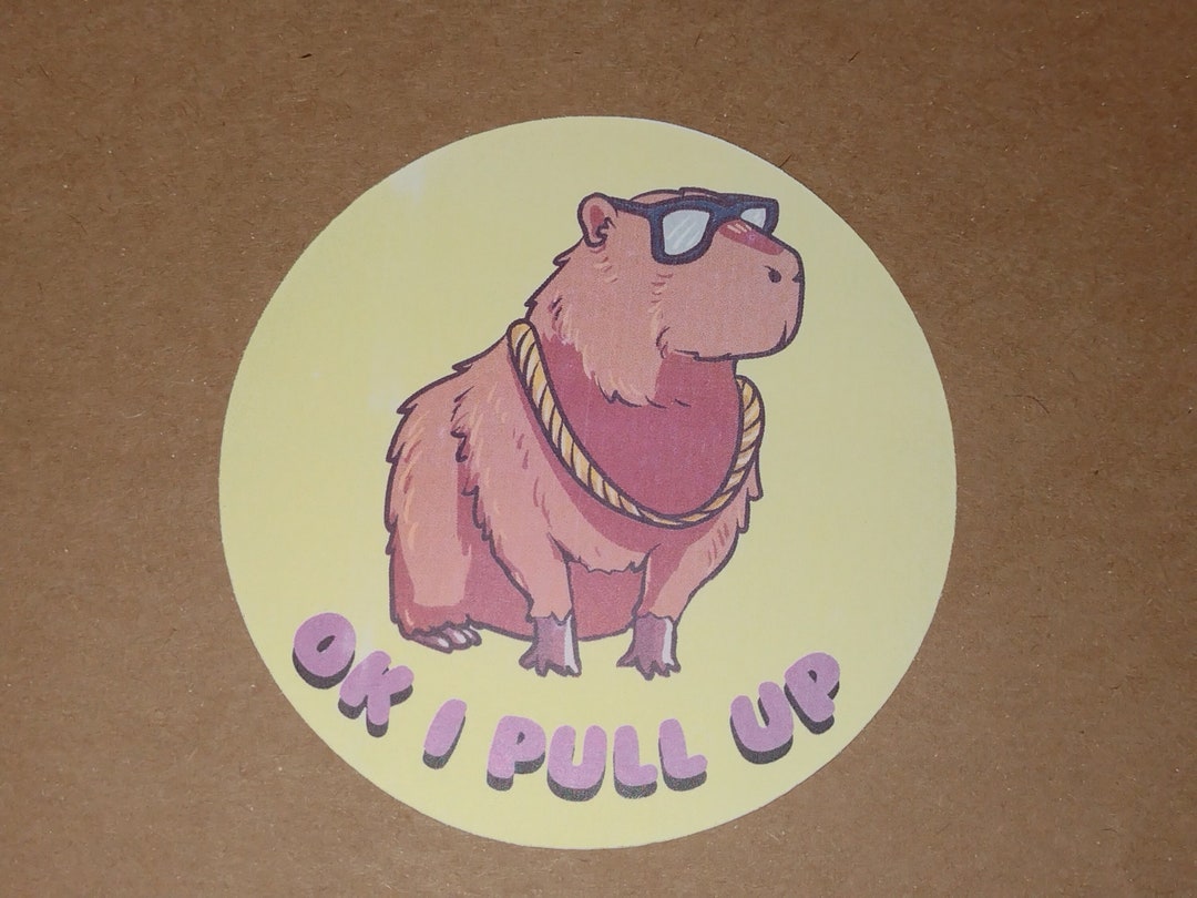 Ok I Pull up Capybara Sticker , Vinyl Die Cut Meme Sticker, Waterproof ...