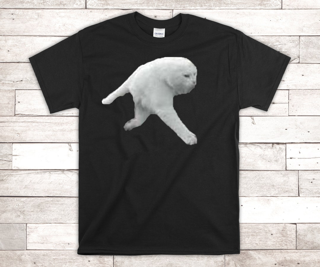 When You Walking Dank Meme T-shirt, Funny Dank Meme Shirt, When You Walking Cat, Funny Cat Shirt ...