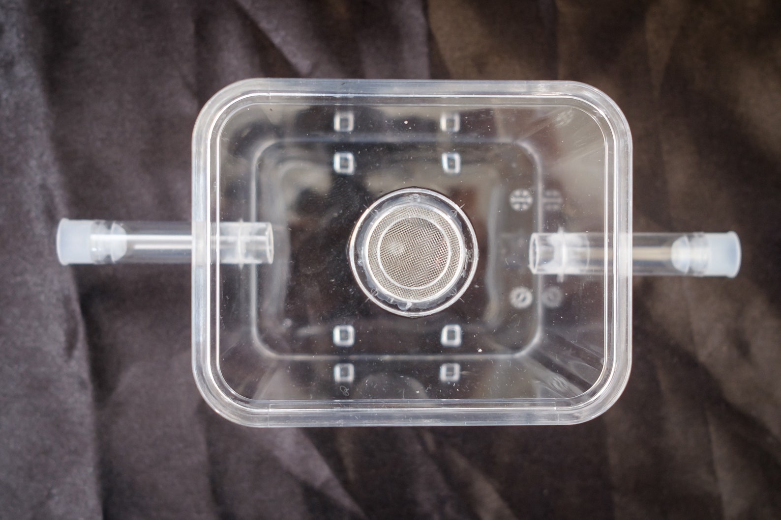 Small Ant Spider Insects Arena Formicarium Farm Ant Housing Your Ant ...