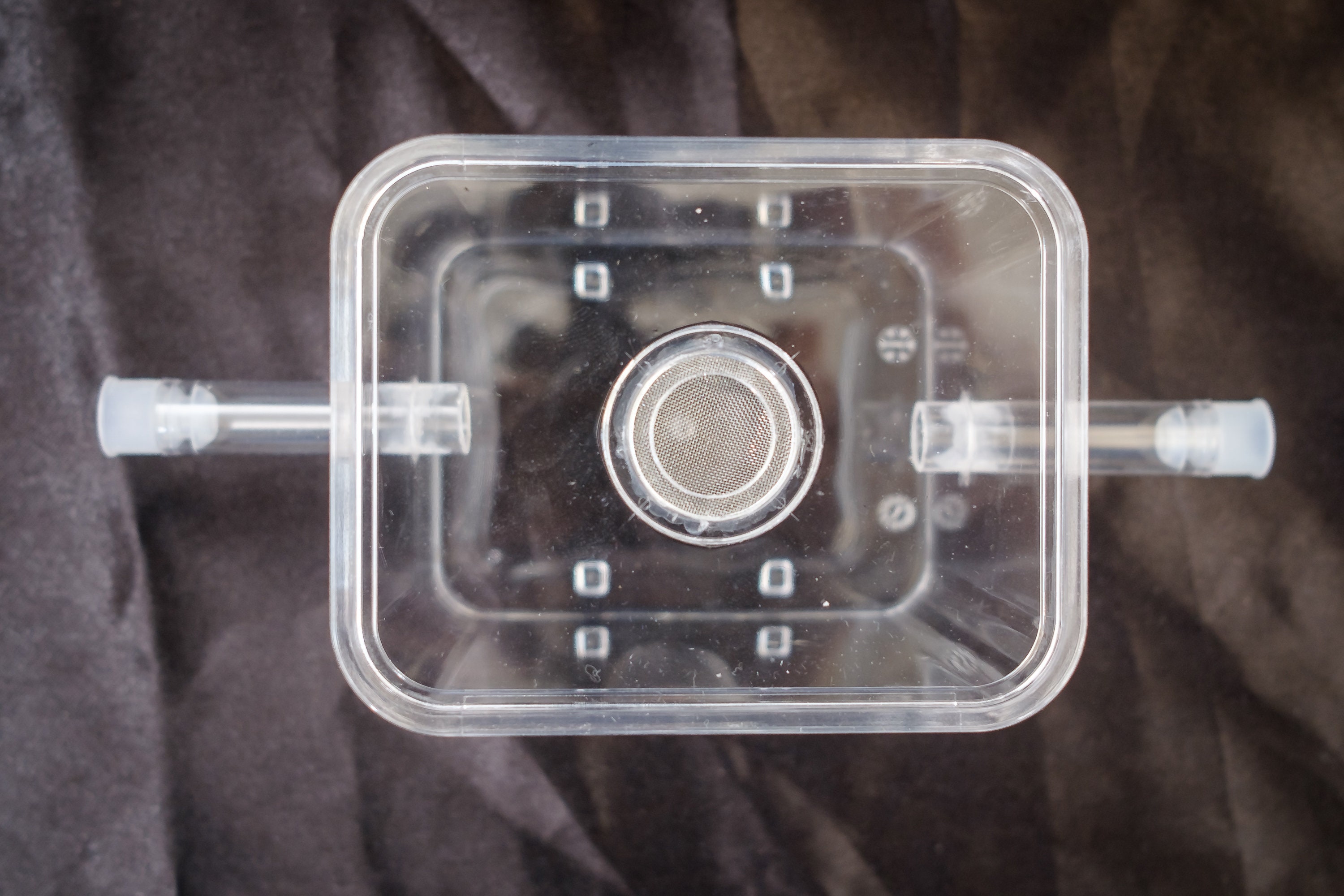 Small Ant Spider Insects Arena Formicarium Farm Ant Housing Your Ant ...