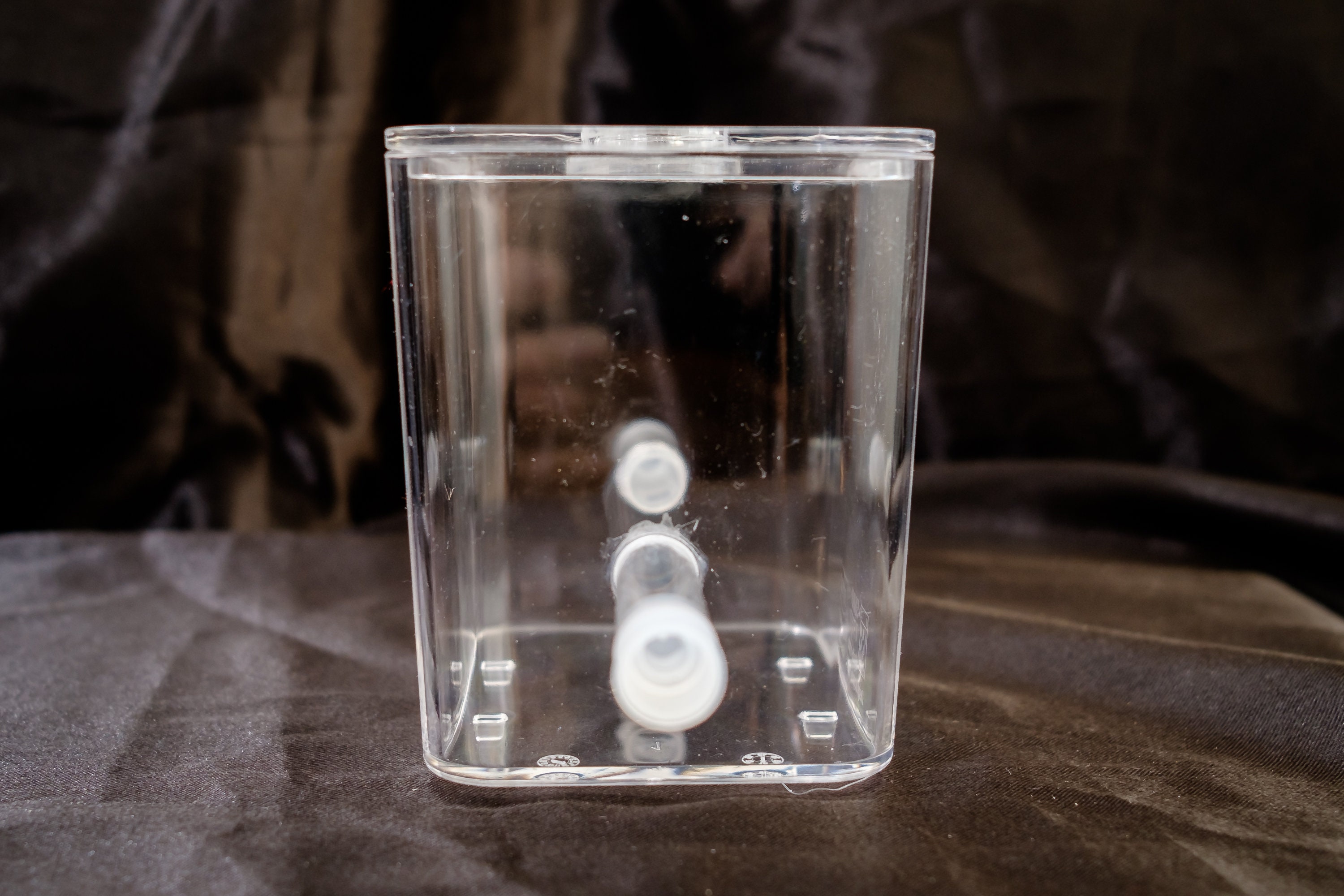 Small Ant Spider Insects Arena Formicarium Farm Ant Housing Your Ant ...