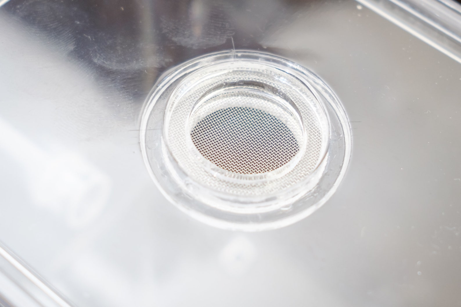 Small Ant Spider Insects Arena Formicarium Farm Ant Housing Your Ant ...