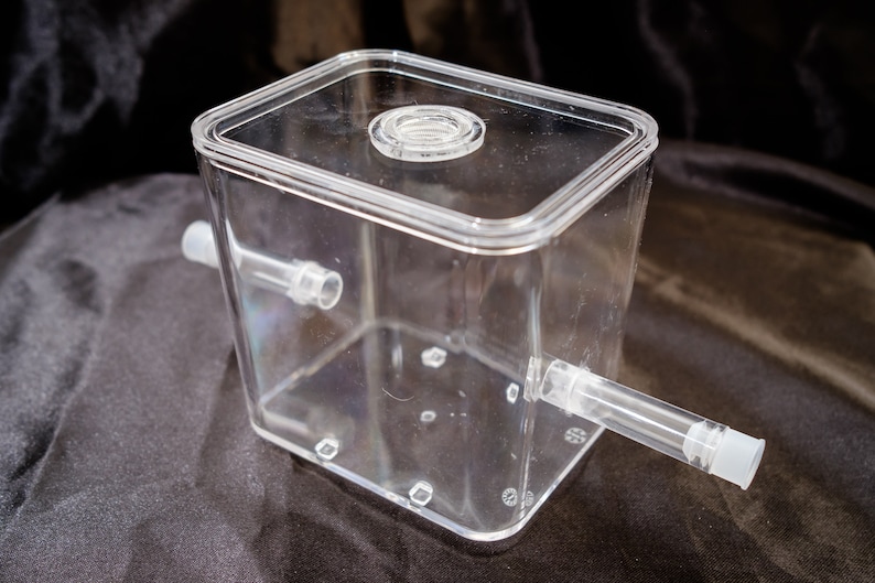 Small Ant Spider Insects Arena Formicarium Farm Ant Housing Your Ant ...