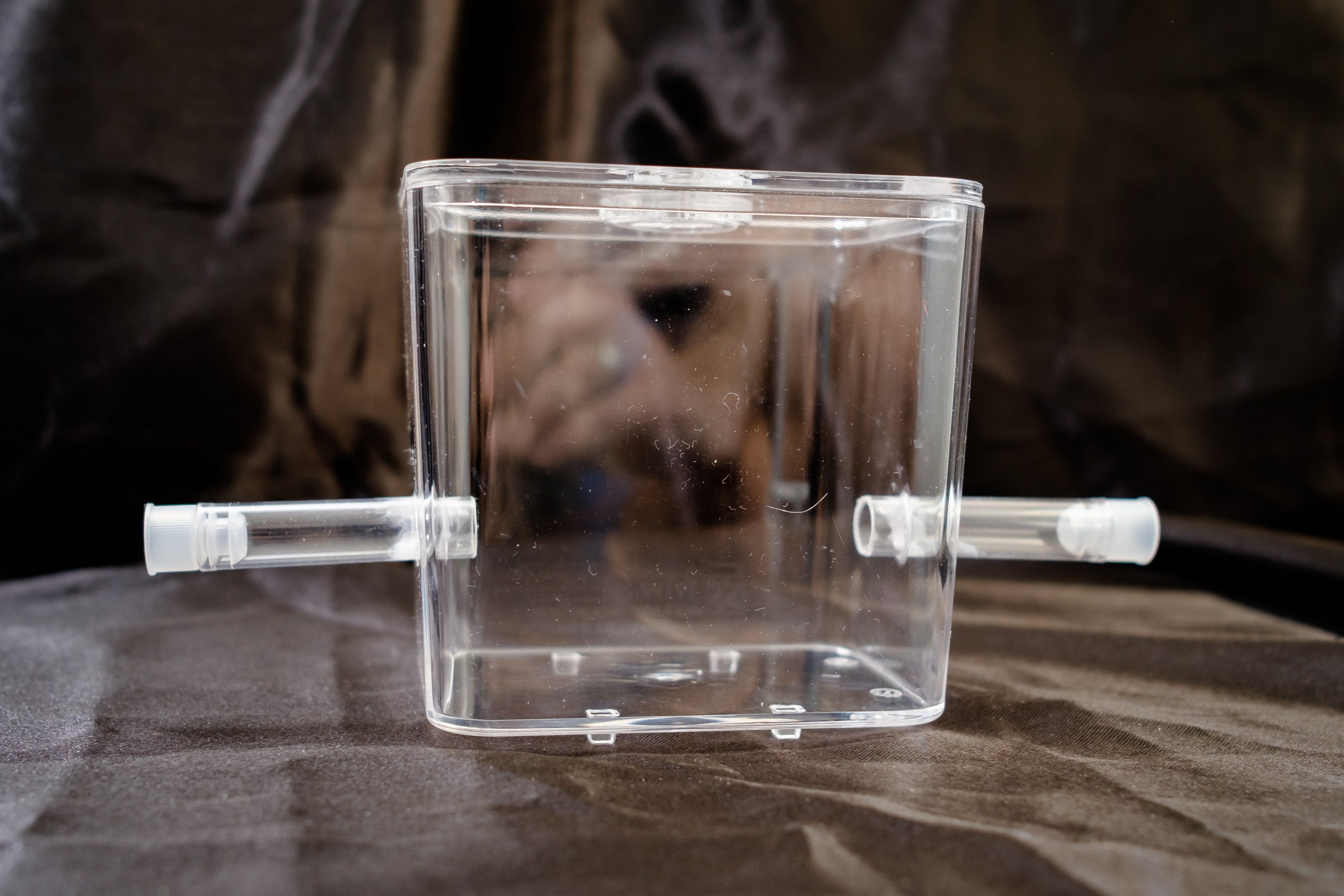 Small Ant Spider Insects Arena Formicarium Farm Ant Housing Your Ant ...