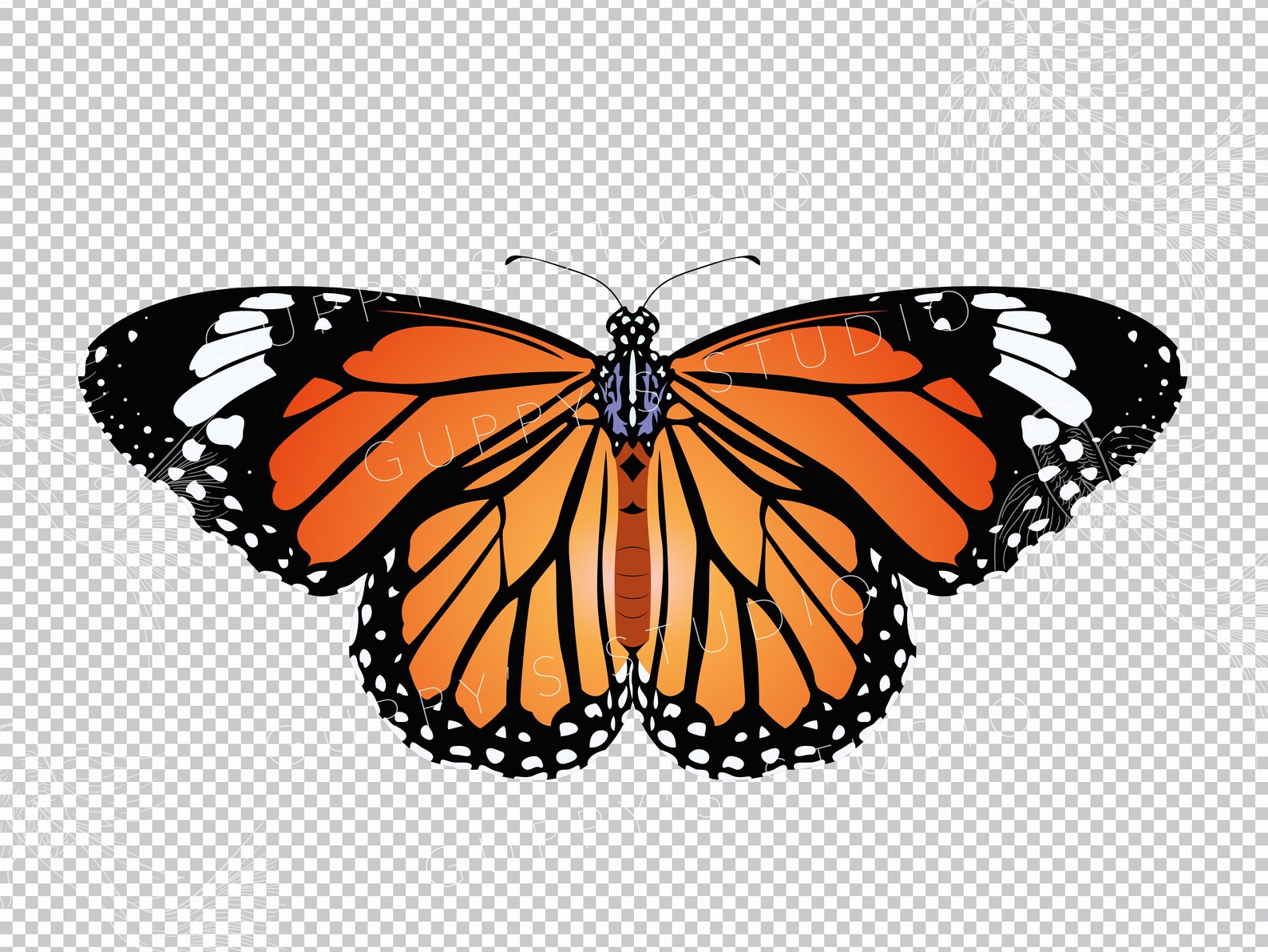 Monarch Butterfly High Quality Vector 4 File Formats AI Png - Etsy