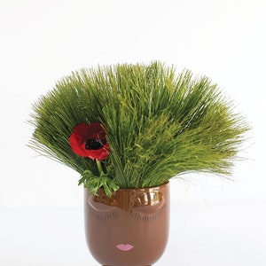 Medium Celfie Vase Face Pot Planter for Cacti or Succulent Plant; Makes ...