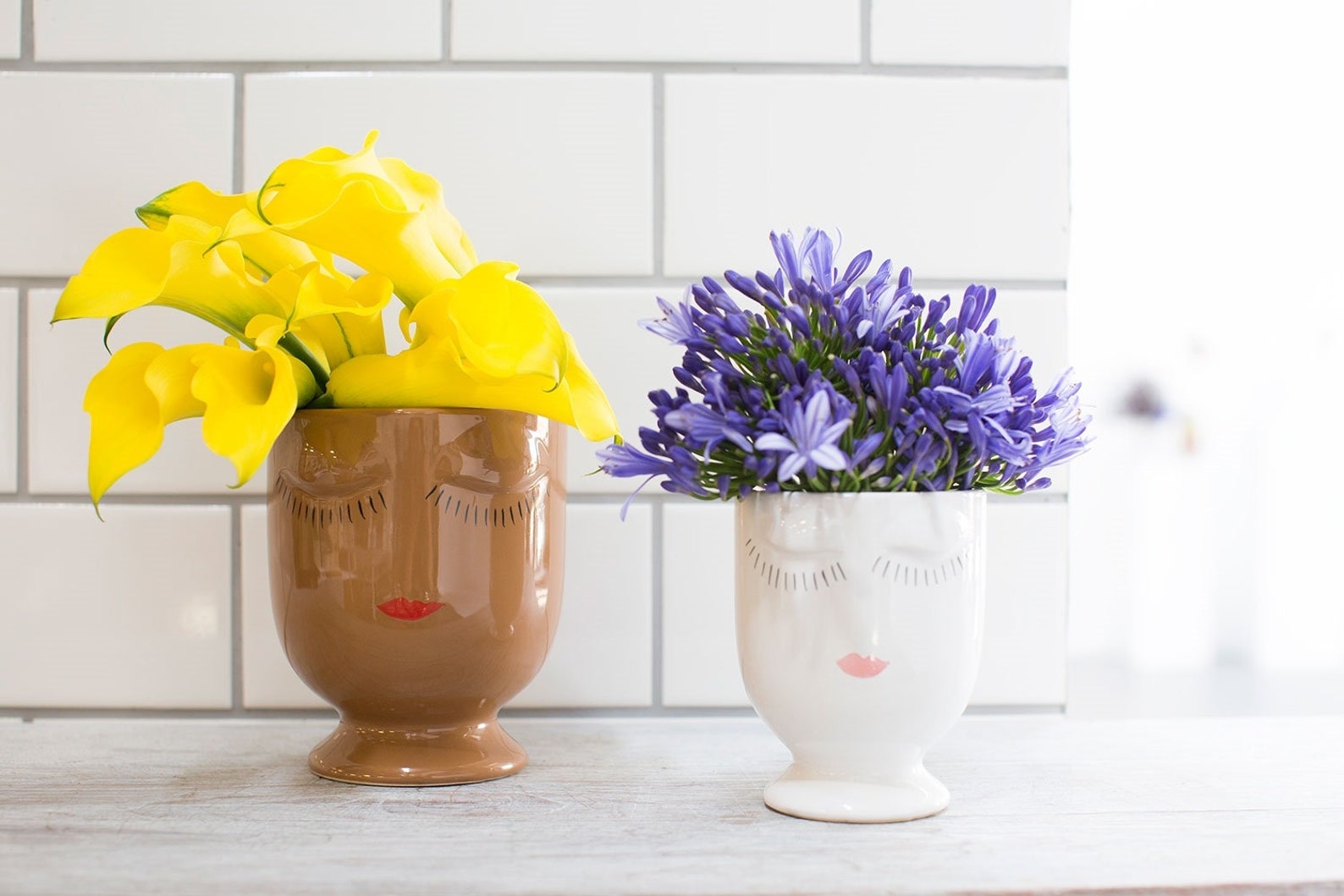 Medium Celfie Vase Face Pot Planter for Cacti or Succulent Plant; Makes ...