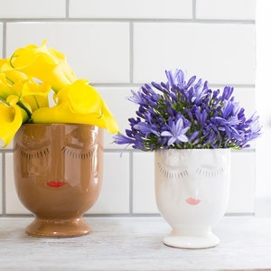 Medium Celfie Vase Face Pot Planter for Cacti or Succulent Plant; Makes ...
