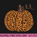 Paws Dog and Cat Pumpkin SVG Cut Files/ Pumpkin Season SVG - Etsy