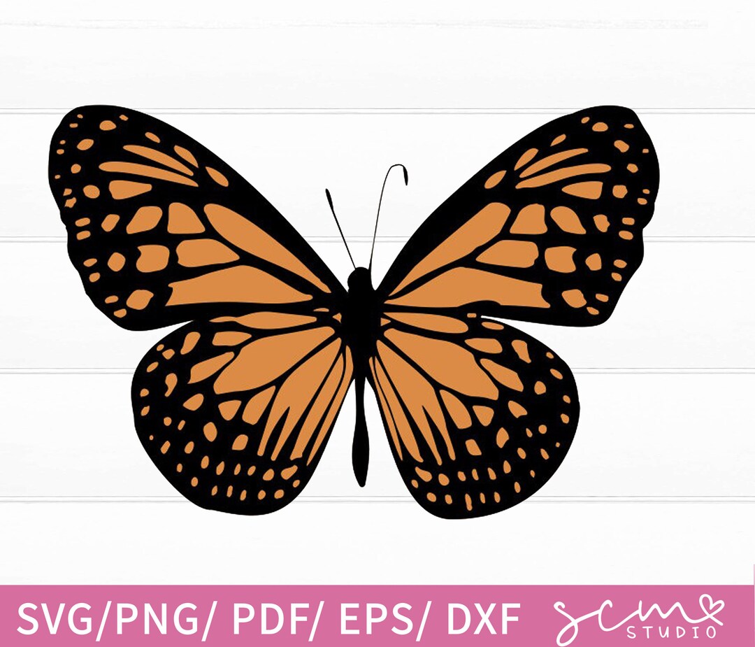 Split Butterfly Svg Cut File,butterfly Monogram Svg, Butterfly Carft ...