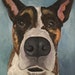 Fuzzy Face, Pet Portrait, Acrylic Painting, Custom Dog Painting, Unique ...