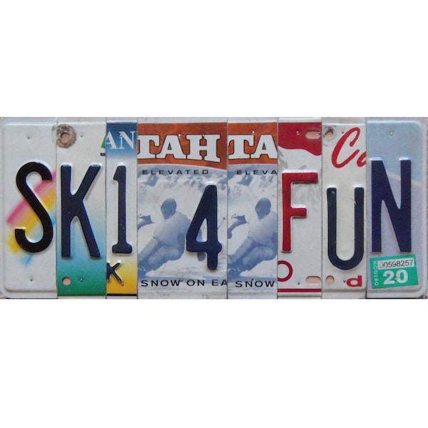 Ski License Plate - Etsy