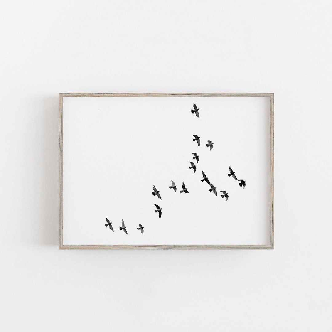 Black and White Birds in Flight Printable Wall Art, Birds Flying Poster ...