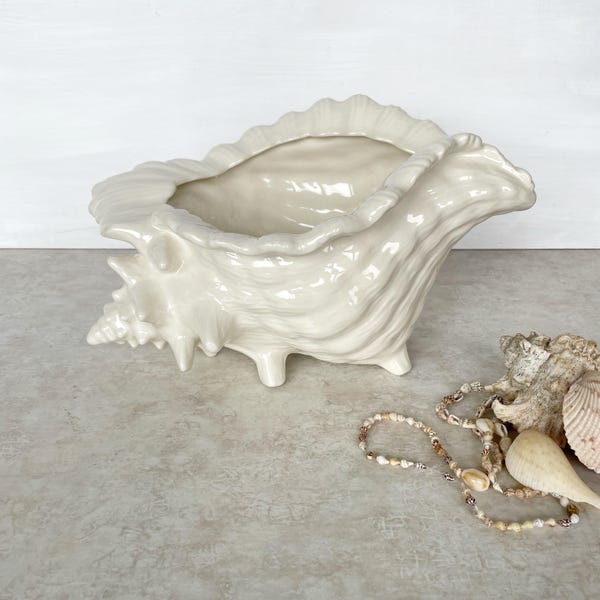 Conch Shell Planter - Etsy