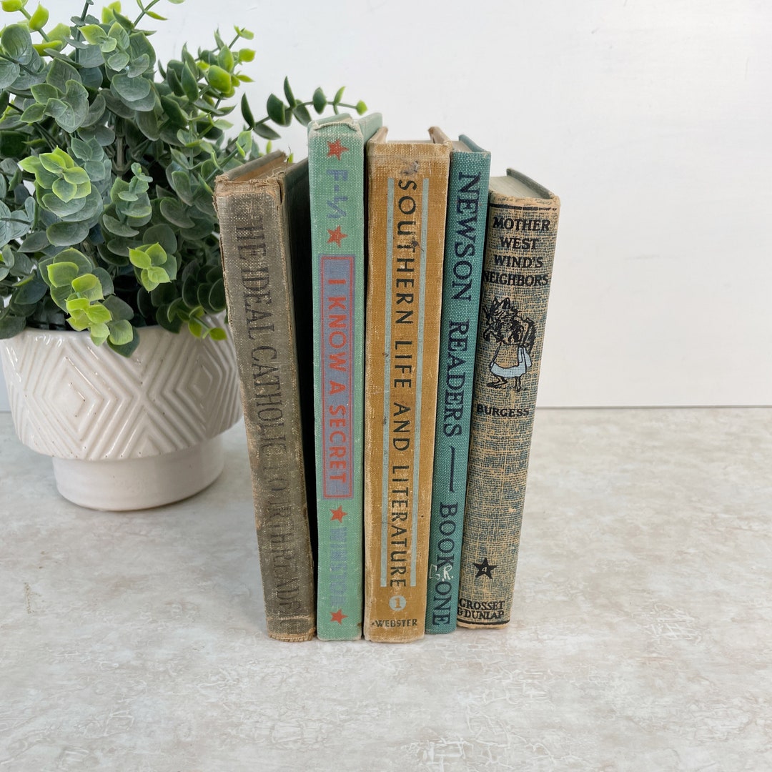 Vintage Children's Book Bundle: Blue Teal Decor Books, Set of 5 - Etsy