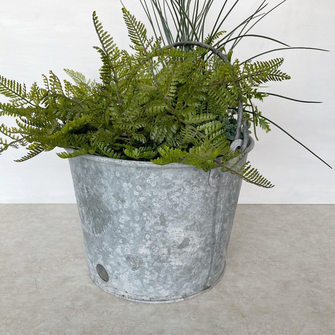 Vintage Galvanized Pail Outdoor Planter, Repurposed Metal Farm Calf ...