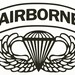 Airborne Vinyl Decal With Wings Symbol - Etsy