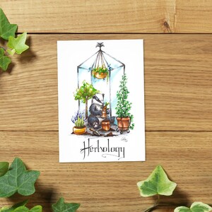 Postcard Set A Badger Learns Magic Astronomy Potions and - Etsy