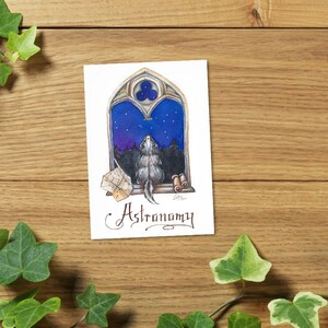 Postcard Set A Badger Learns Magic Astronomy Potions and - Etsy