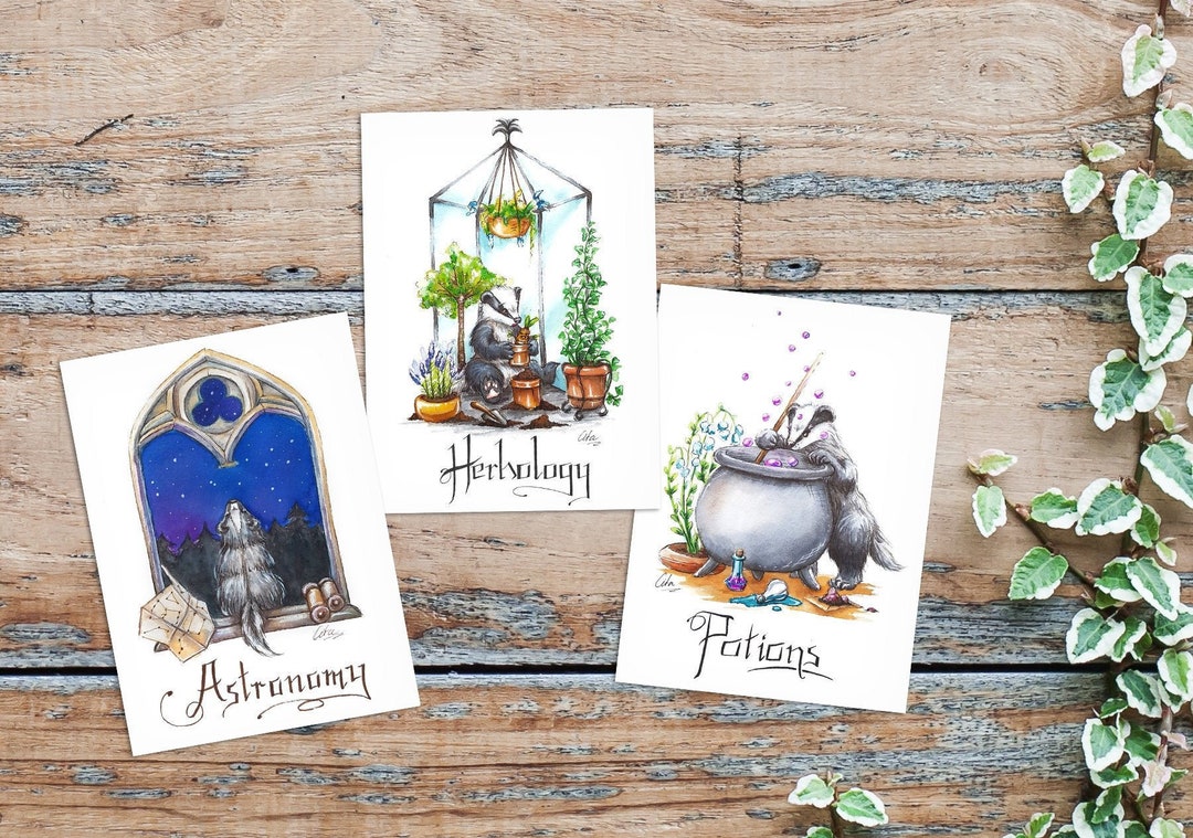 Postcard Set A Badger Learns Magic Astronomy Potions and - Etsy