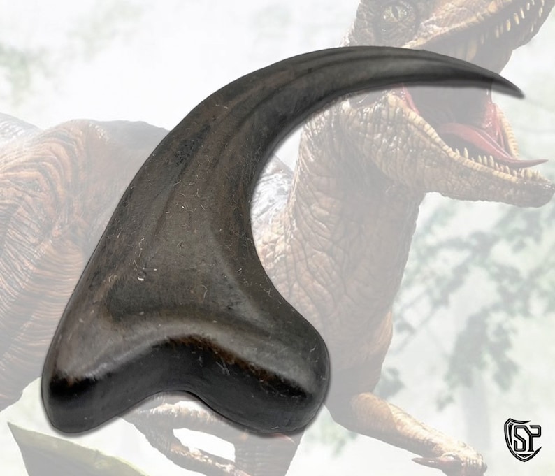 Velociraptor Claw - Jurassic Raptor Claw - Etsy