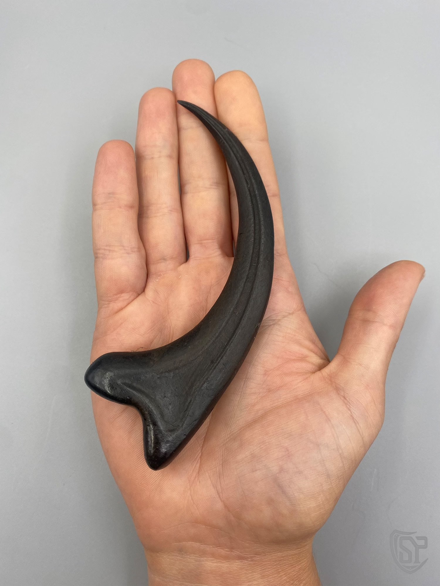 Velociraptor Claw - Jurassic Raptor Claw - Etsy