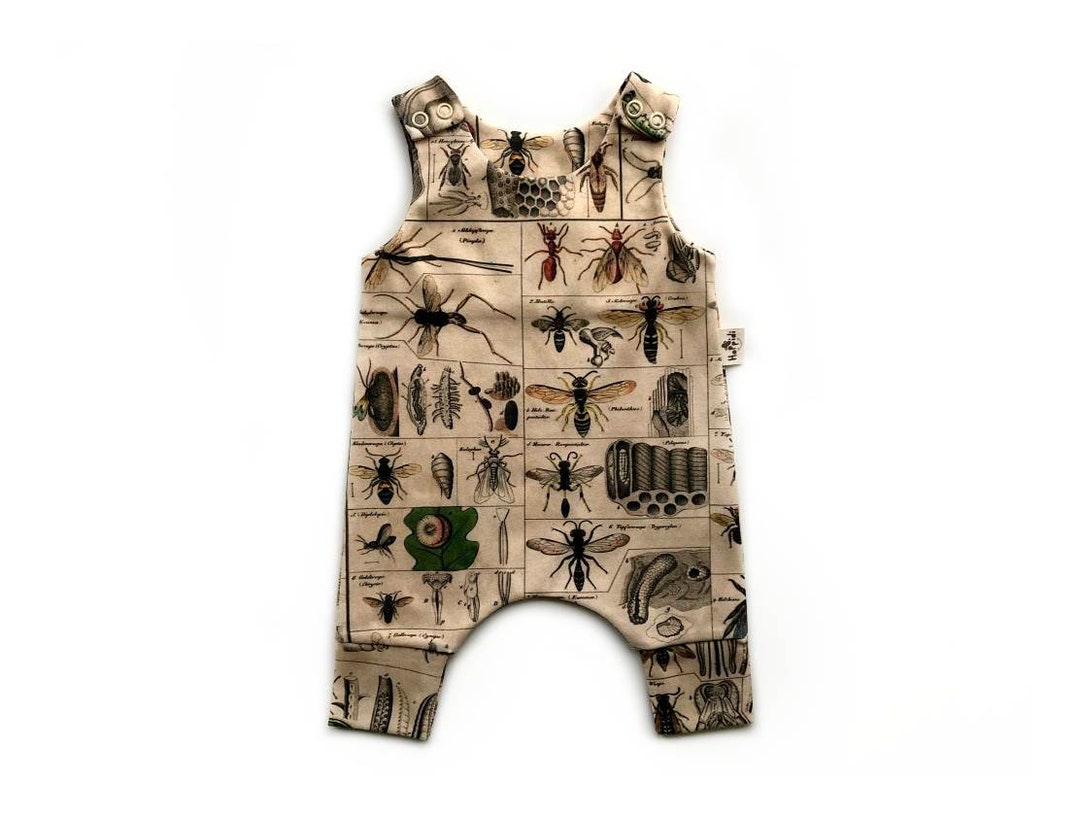 Baby Romper With Historical Print of Insects, Organic Baby Clothes,bugs ...