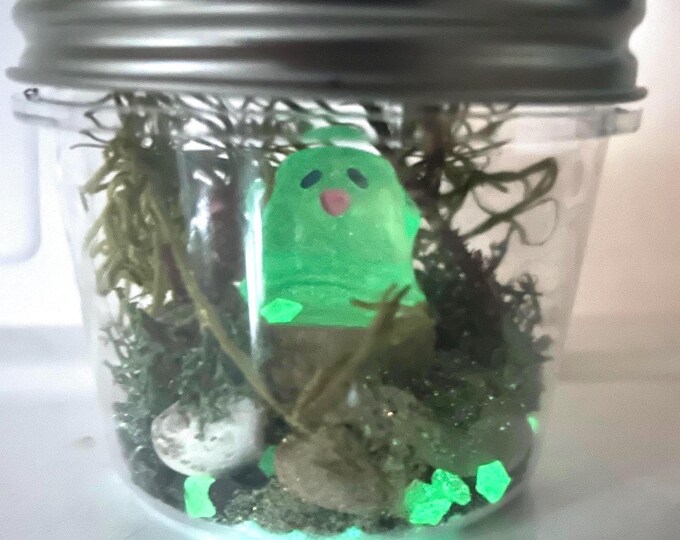 Pet Ghost Funny Novelty Gift Ideas Ideal for Birthday Presents, Wedding ...