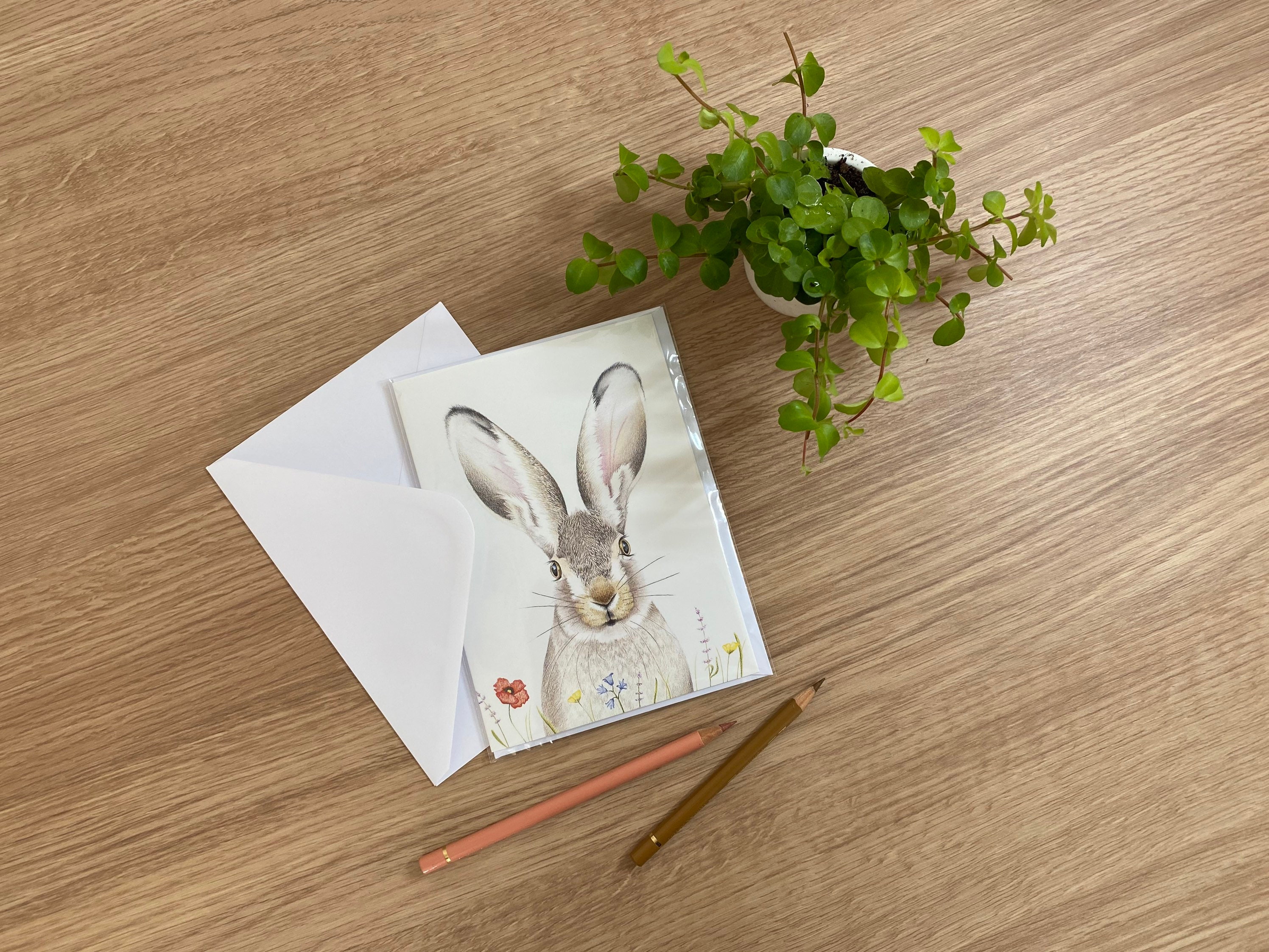 Hare Greeting Card Blank Inside - Etsy Singapore
