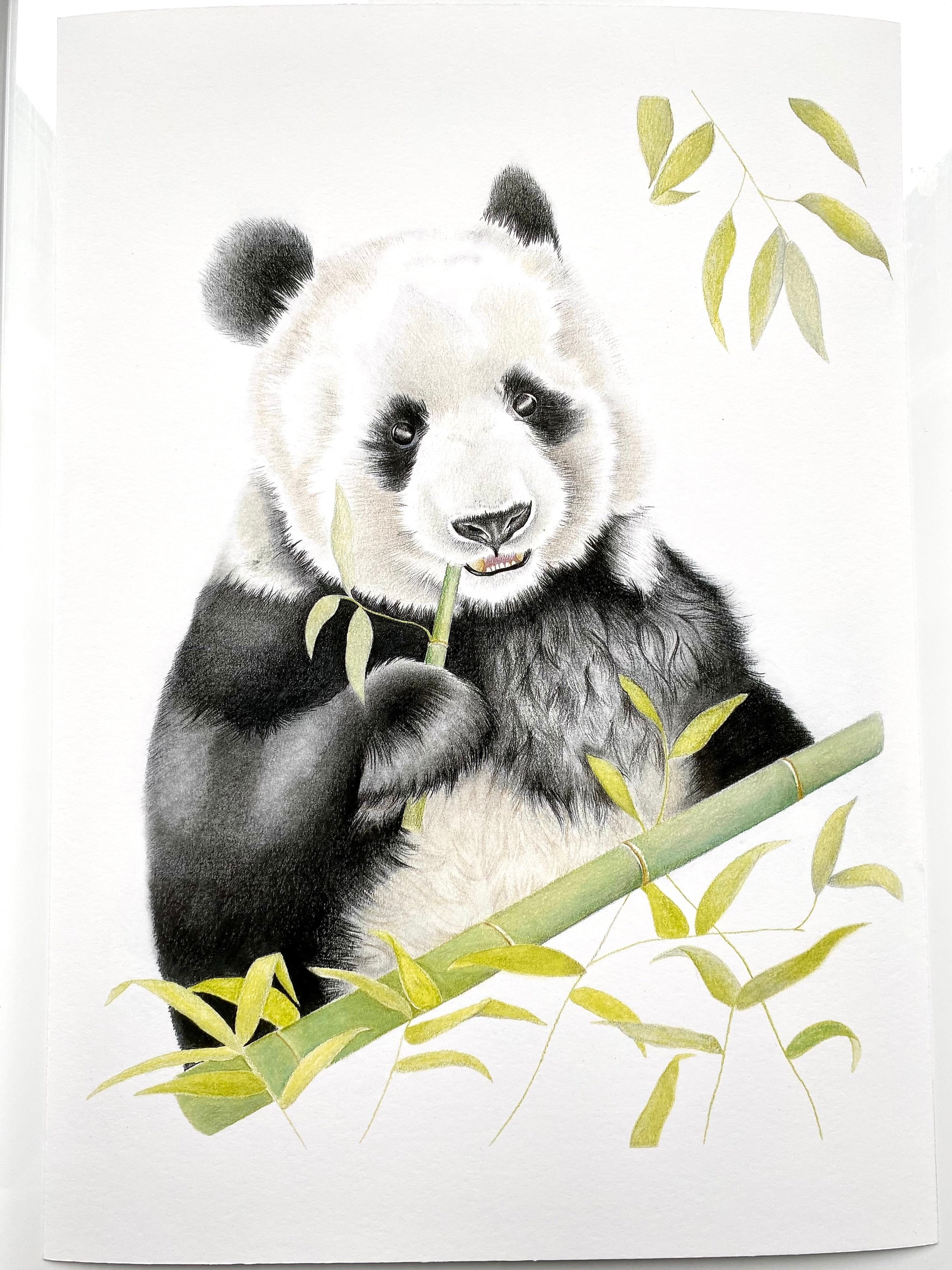 panda-gicle-print-print-only-etsy