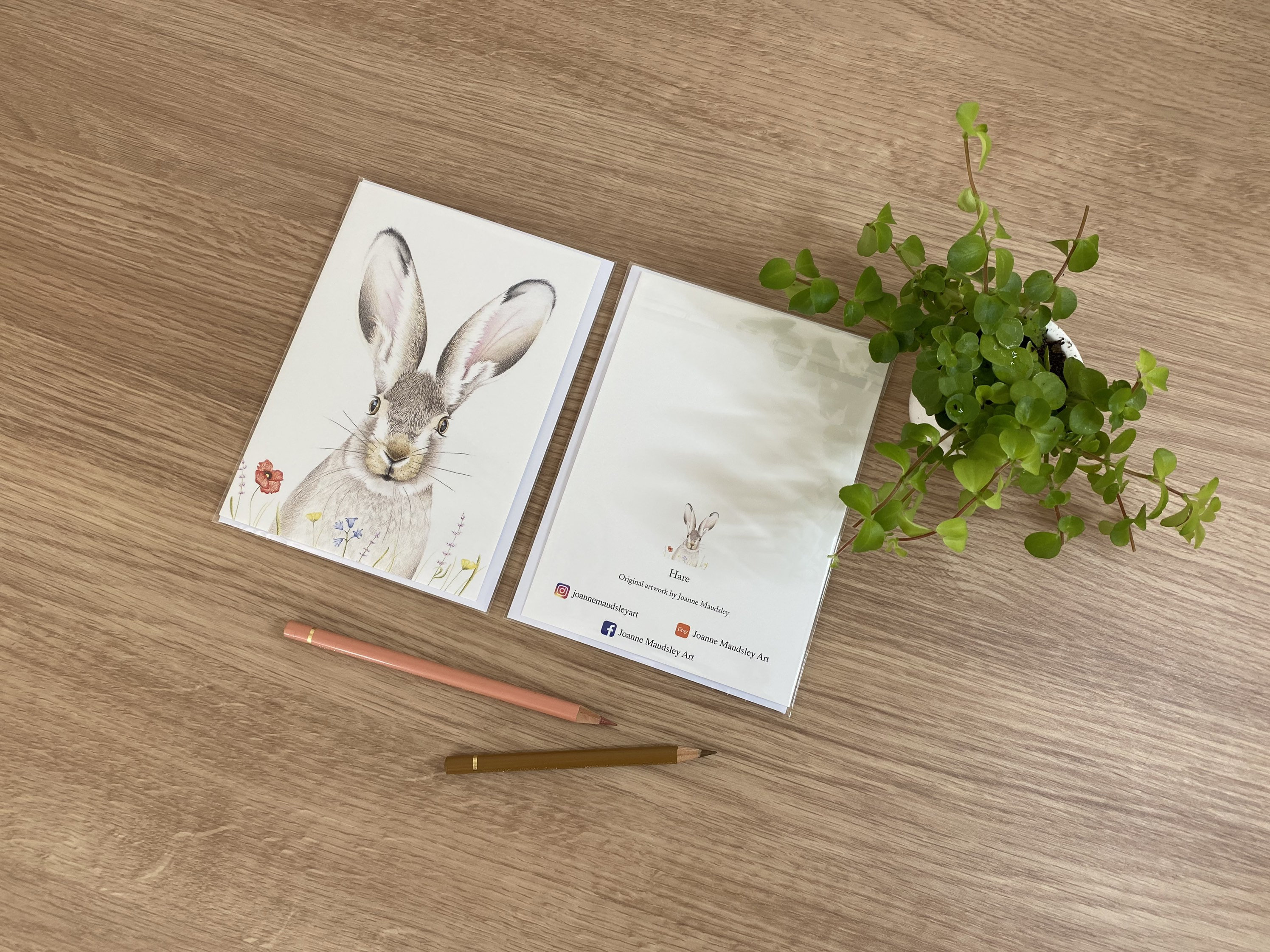 Hare Greeting Card Blank Inside - Etsy Singapore