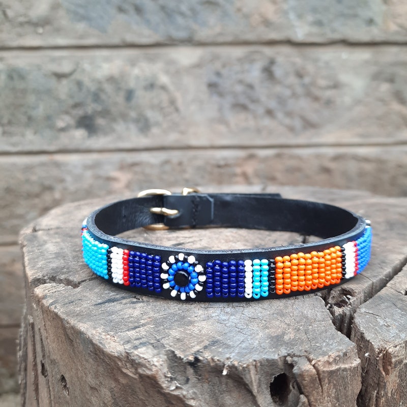 Small Dog Collar - Etsy