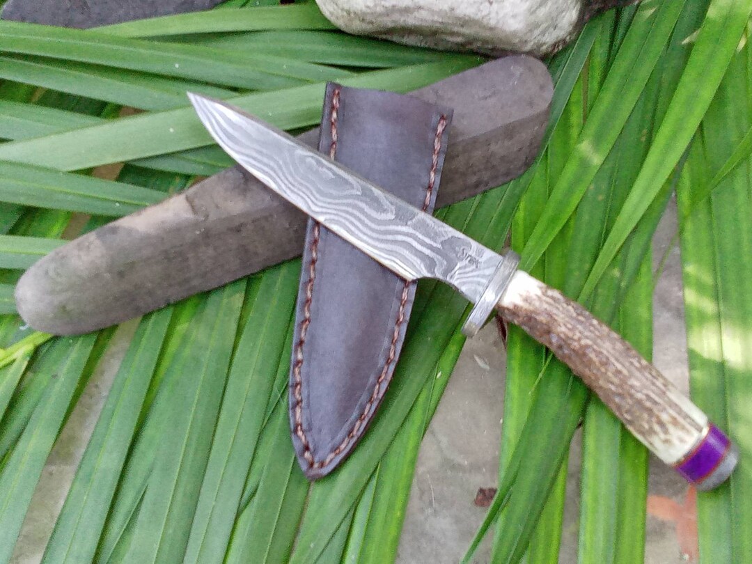 Craig Steketee Damascus Skinning Knife: Stag Handle, Fixed Blade, STEK ...